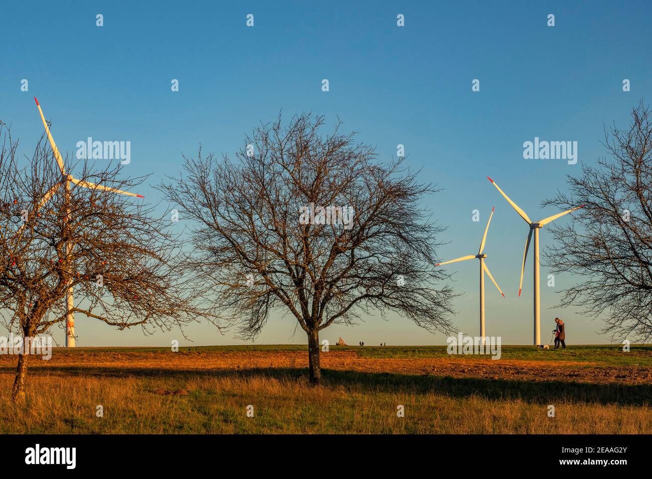 Alternative border force hi-res stock photography and images - Alamy