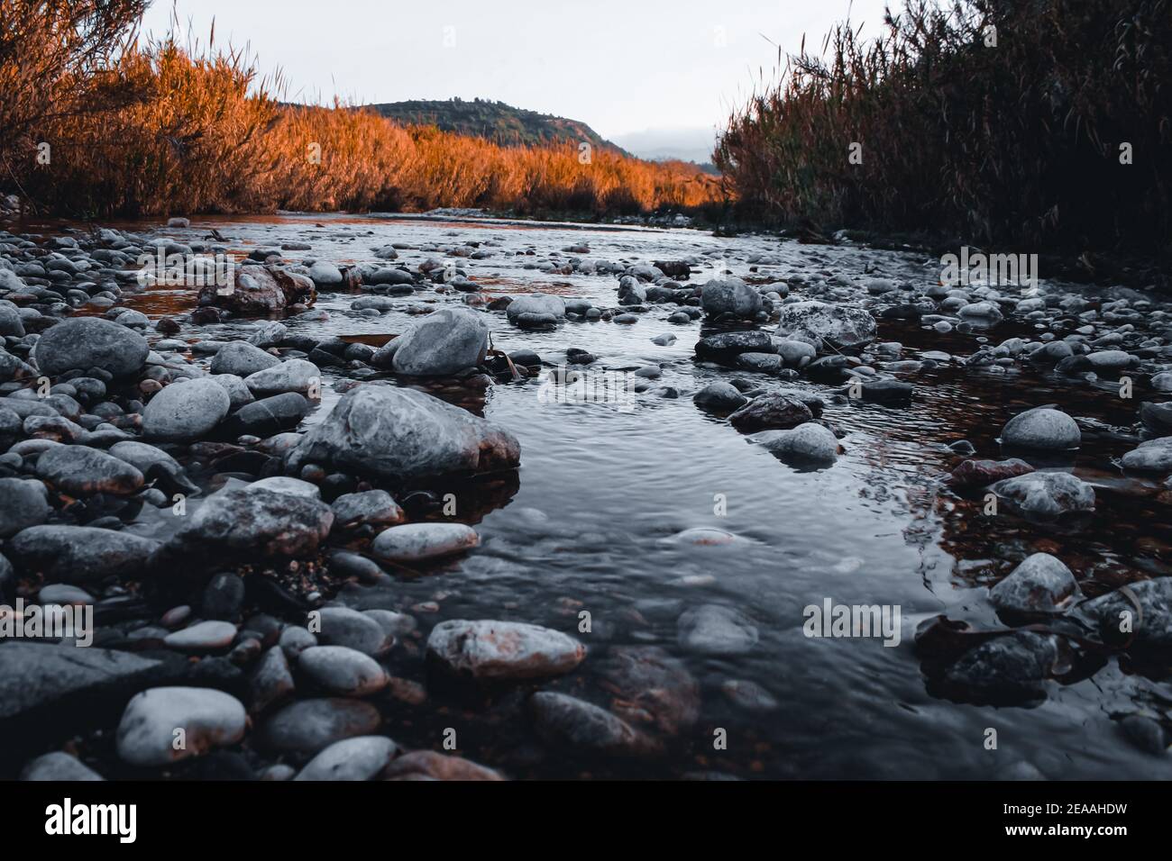 Riverside beauty hi-res stock photography and images - Alamy
