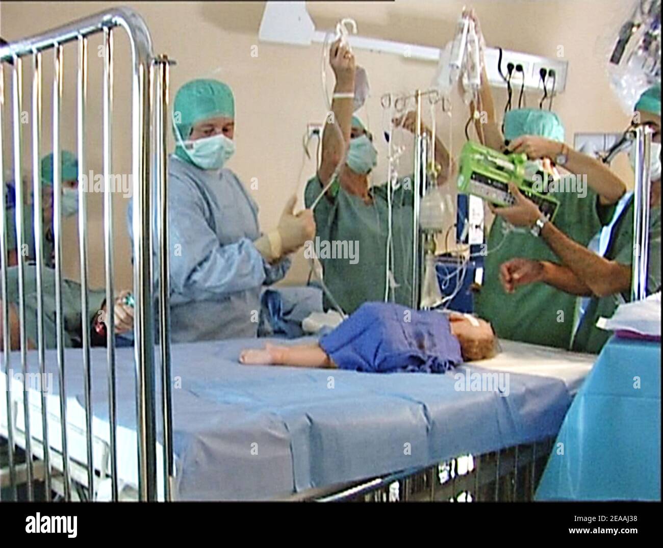 Siamois hi-res stock photography and images - Alamy