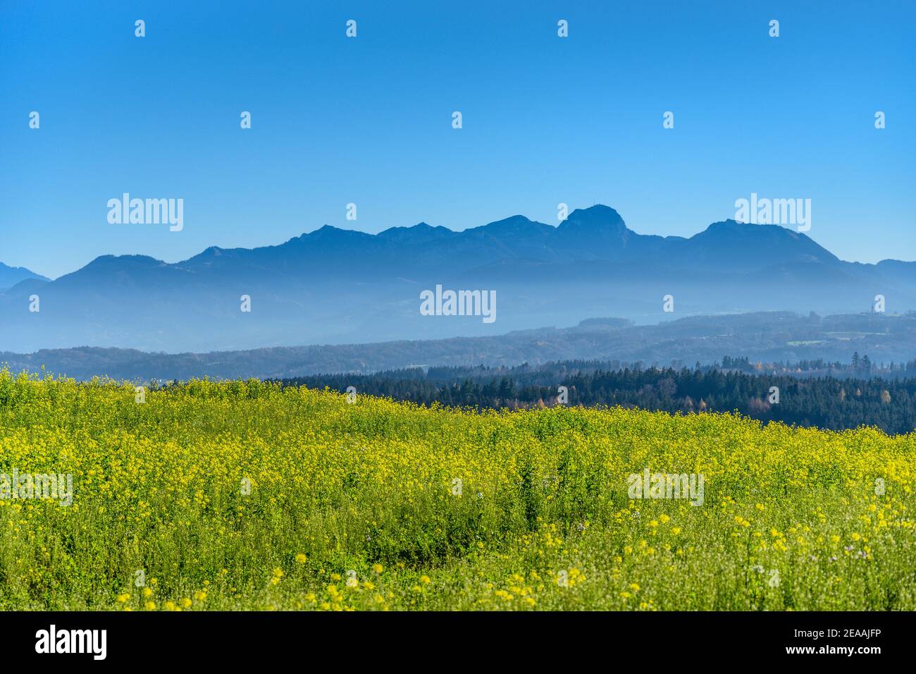 District aschhofen hi-res stock photography and images - Alamy
