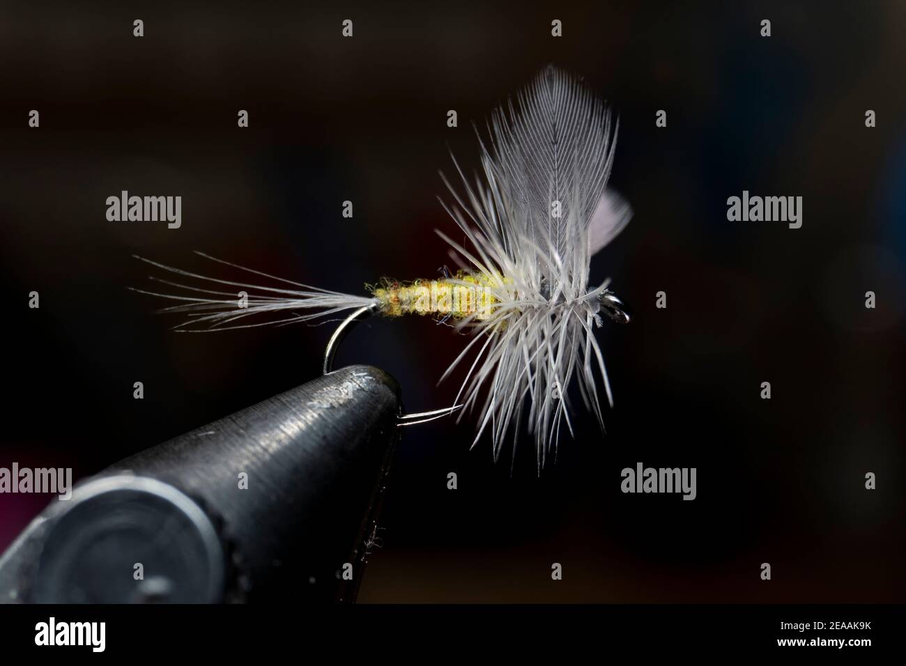 Dry fly hi-res stock photography and images - Alamy