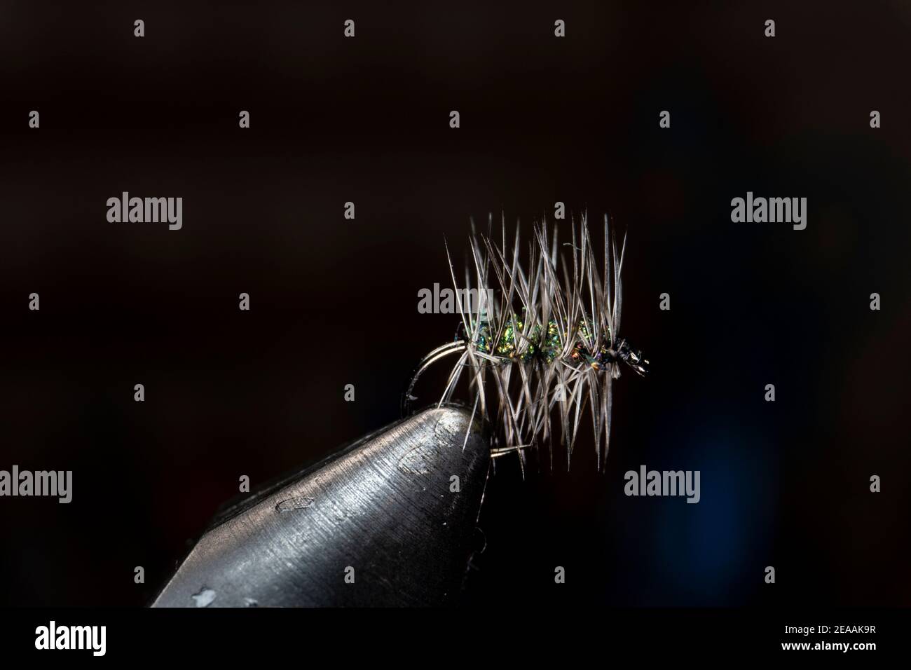 Dry Fly High Resolution Stock Photography and Images - Alamy