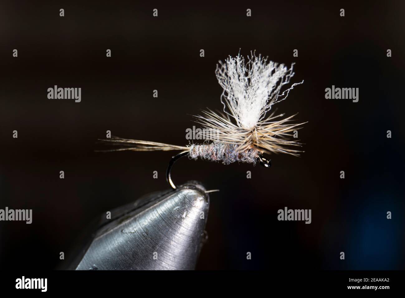 Parachute Adams Dry Fly Stock Photo - Alamy