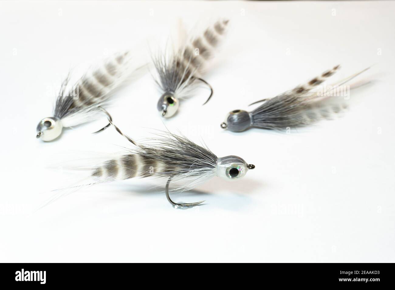 Mullet fly fishing hi-res stock photography and images - Alamy