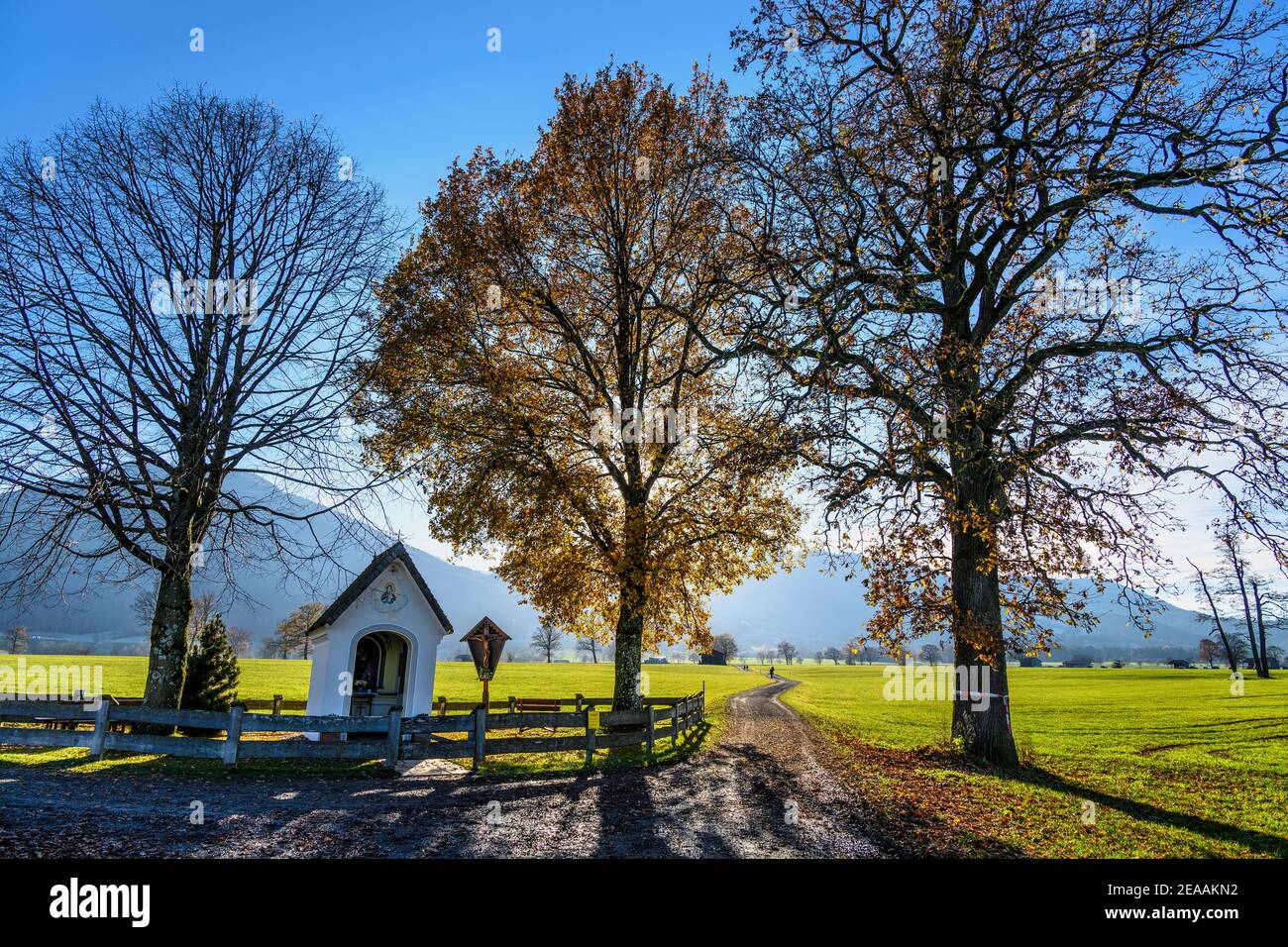 Germany, Bavaria, Upper Bavaria, Rosenheim district, Bad Feilnbach ...