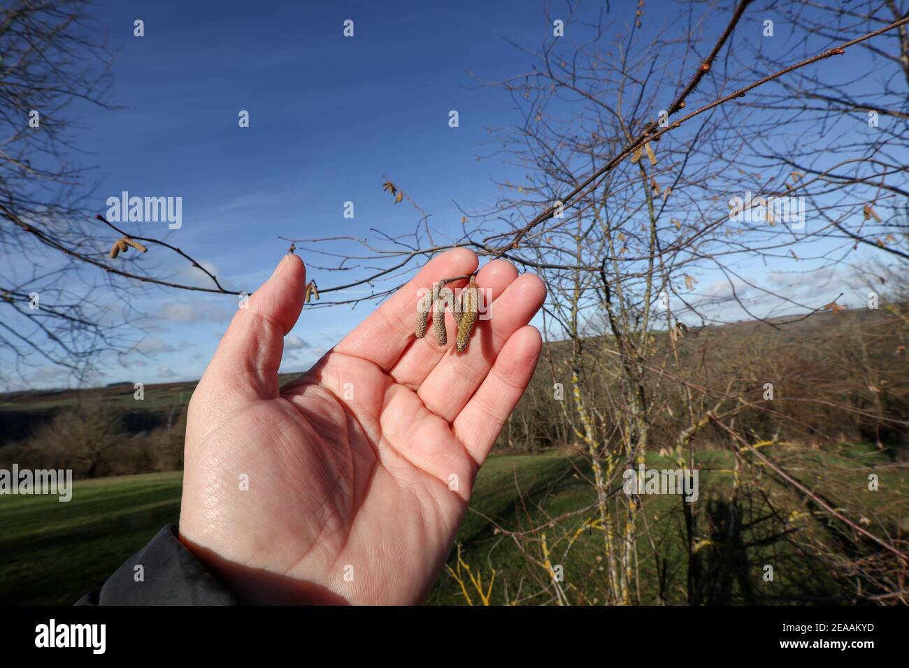 Hand plow on field in hi-res stock photography and images - Alamy