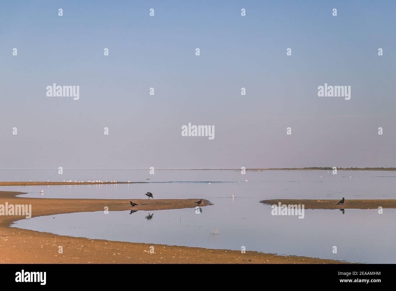 Shallowing hi-res stock photography and images - Alamy