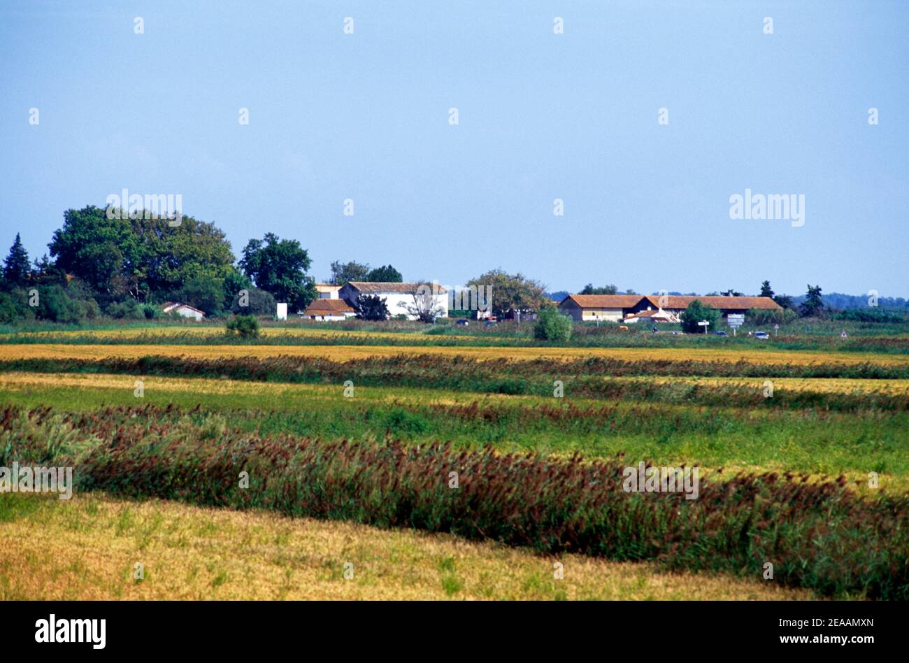 Camargue Provence France Wetlands Stock Photo - Alamy