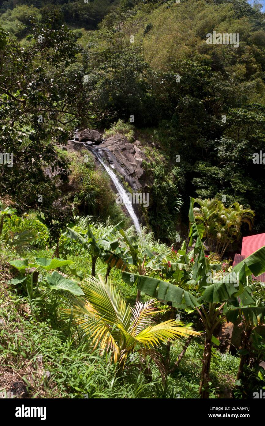 Grenada waterfall hi-res stock photography and images - Alamy
