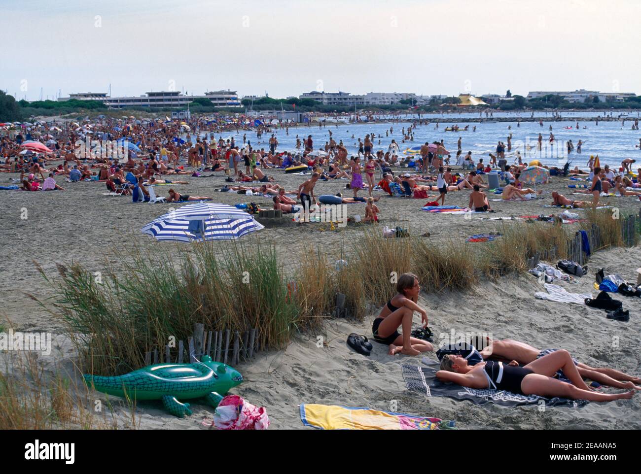 Camargue Provence France Port Camargue Wetlands Beach Scene Stock Photo ...