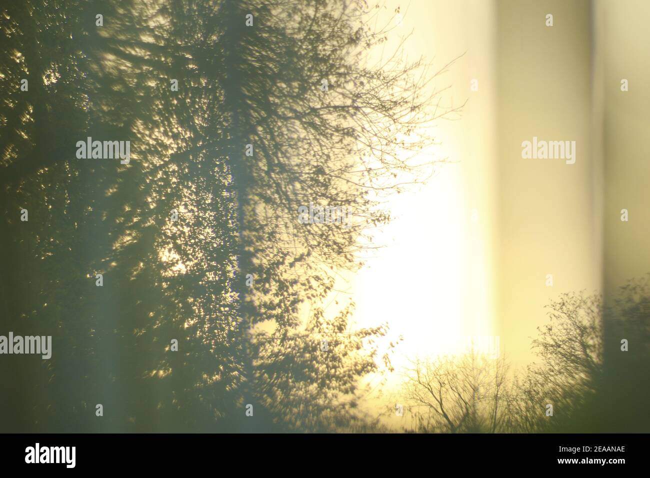 Trees bushes hi-res stock photography and images - Alamy