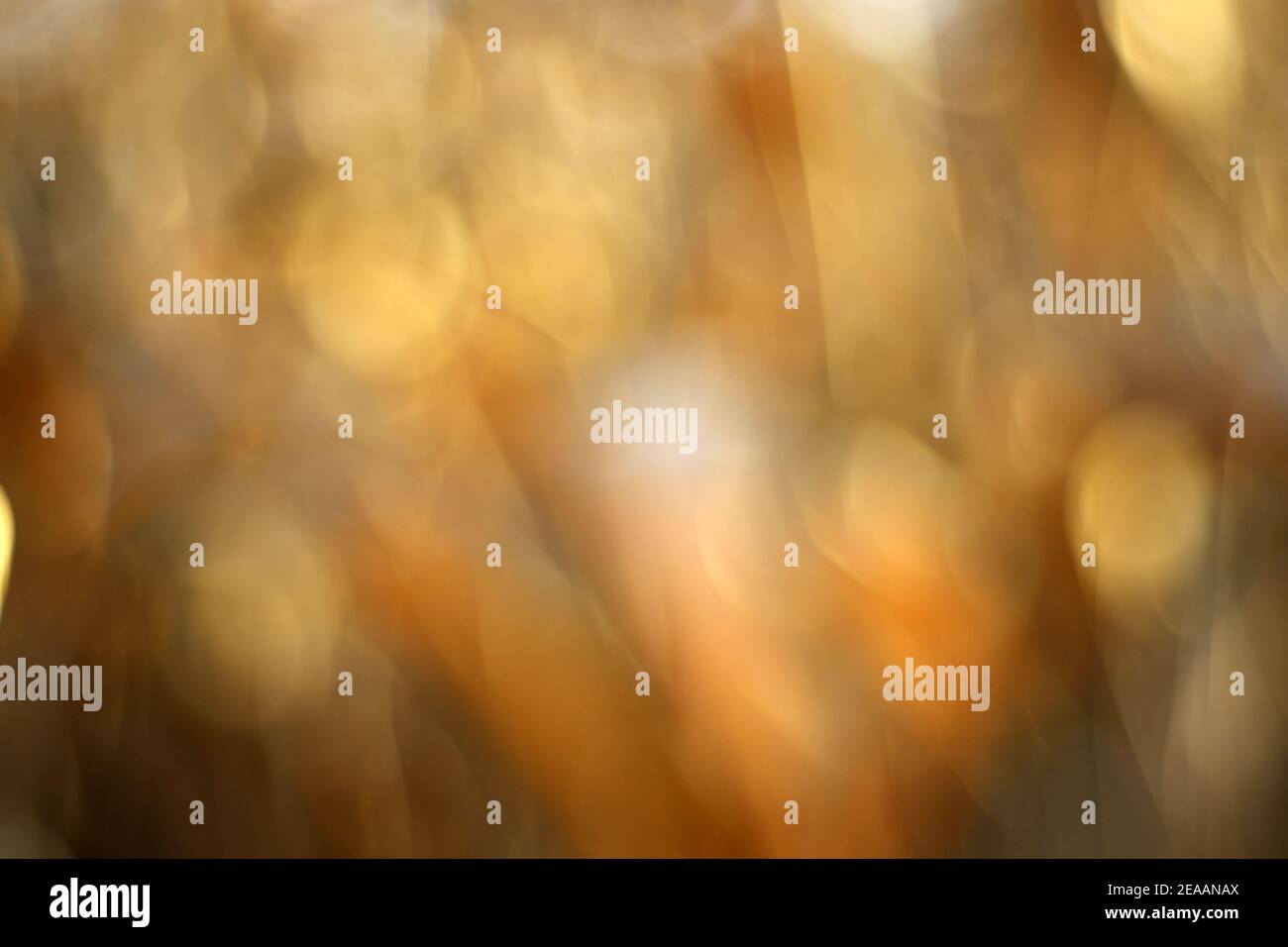 Nature, out of focus, abstract Stock Photo - Alamy