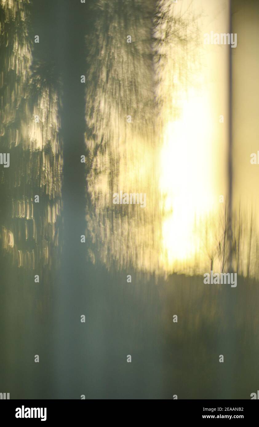 Trees bushes hi-res stock photography and images - Alamy