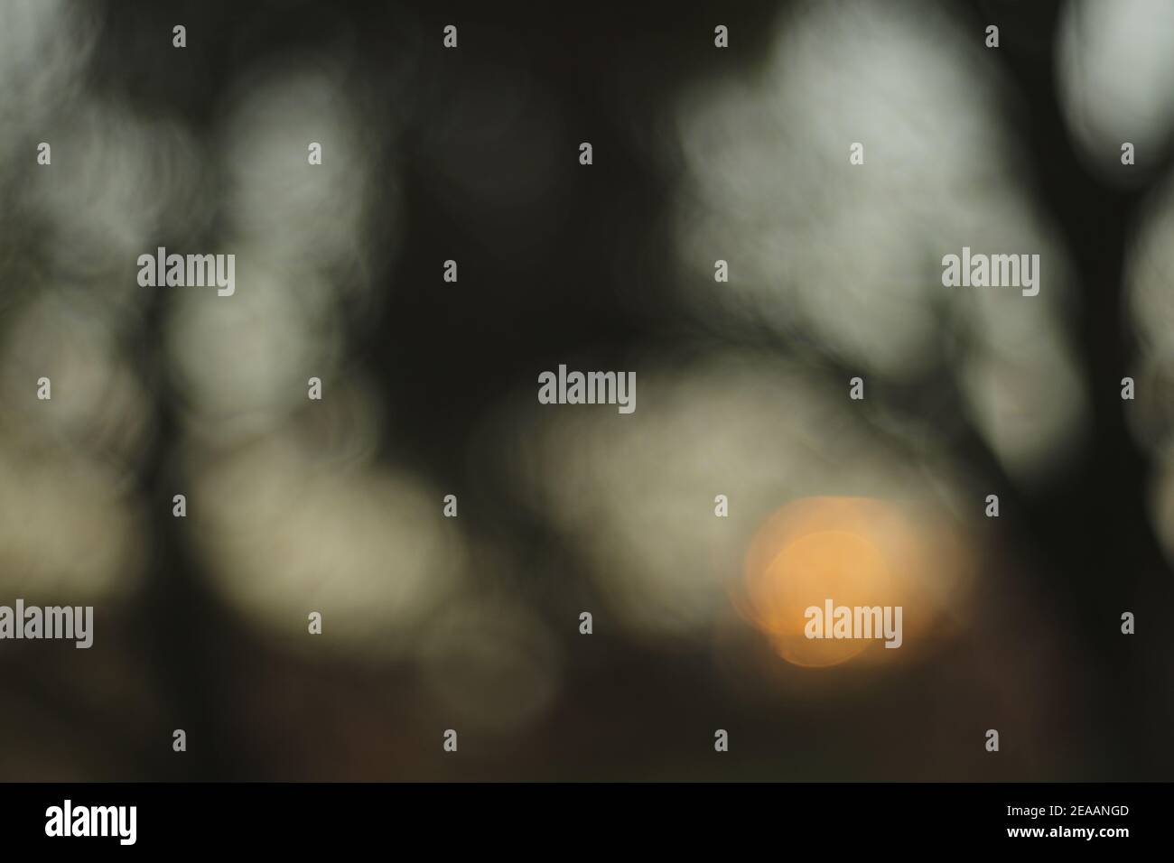 Sunset focus hi-res stock photography and images - Alamy