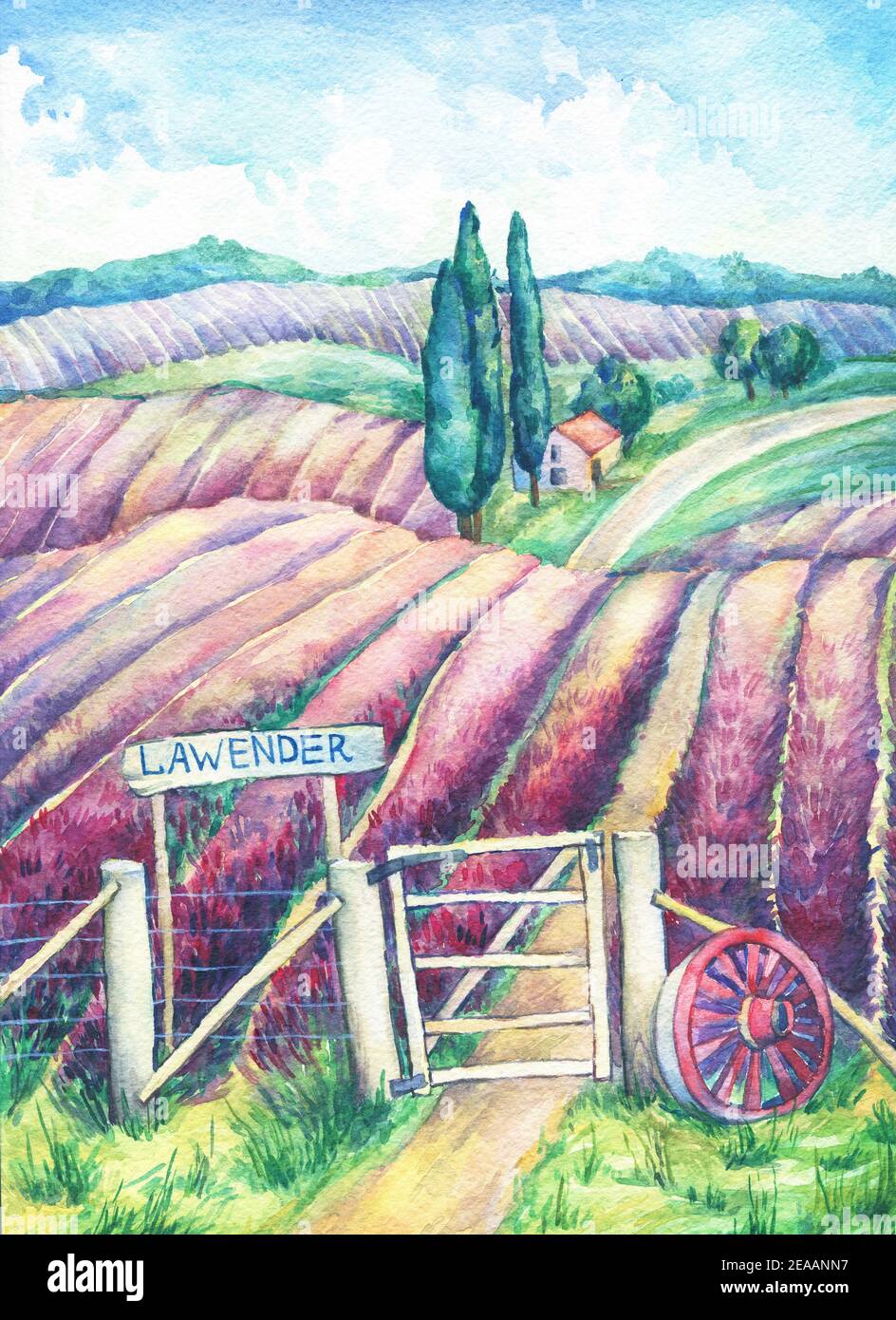 Lavender Fields Drawing
