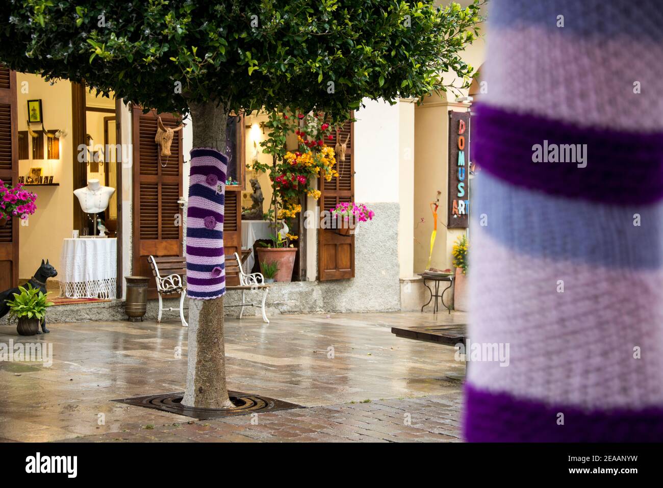 Tree trunk knitted with wool in front of a boutique Stock Photo - Alamy