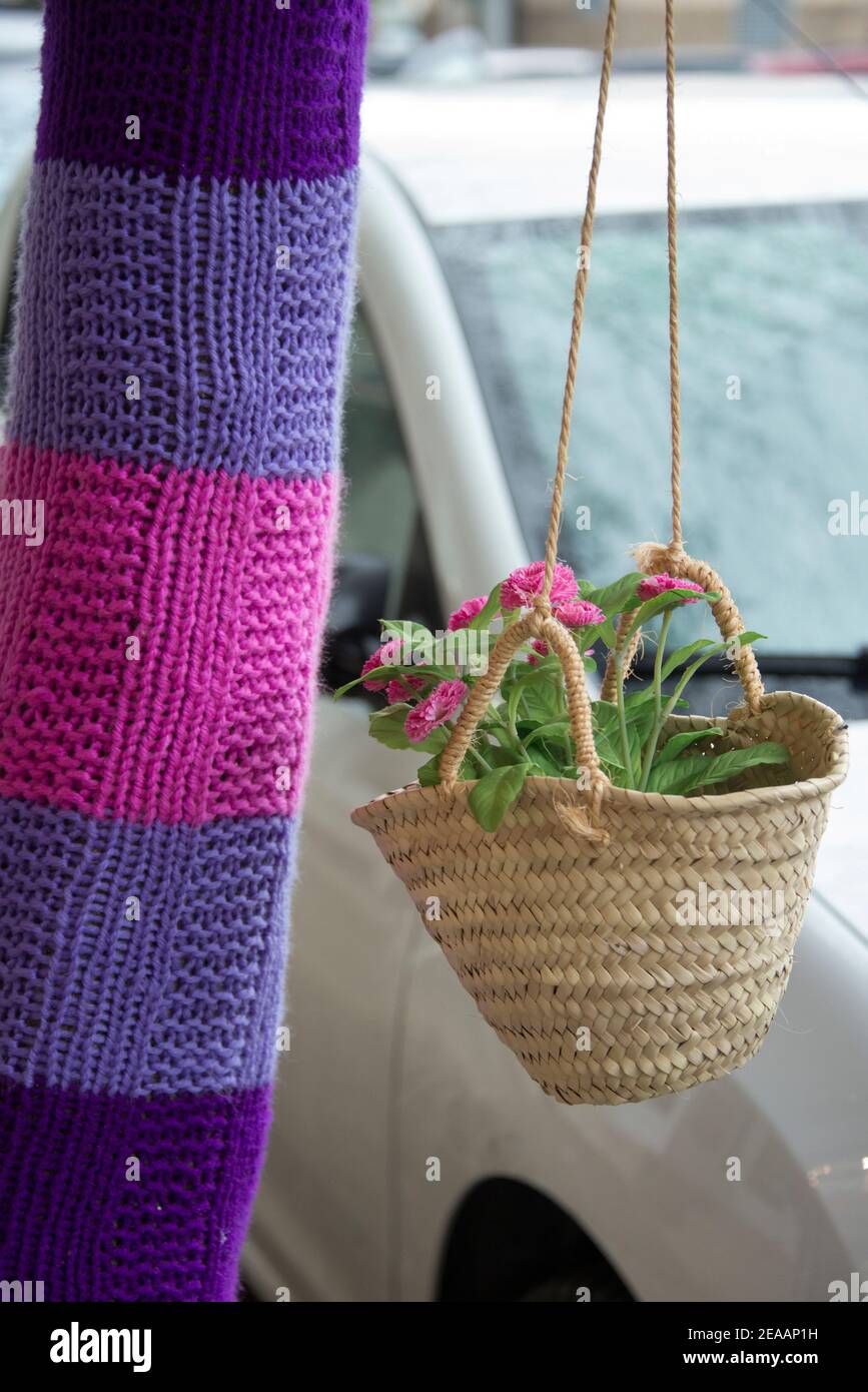 tree trunk knitted with wool with plant in the basket Stock Photo - Alamy