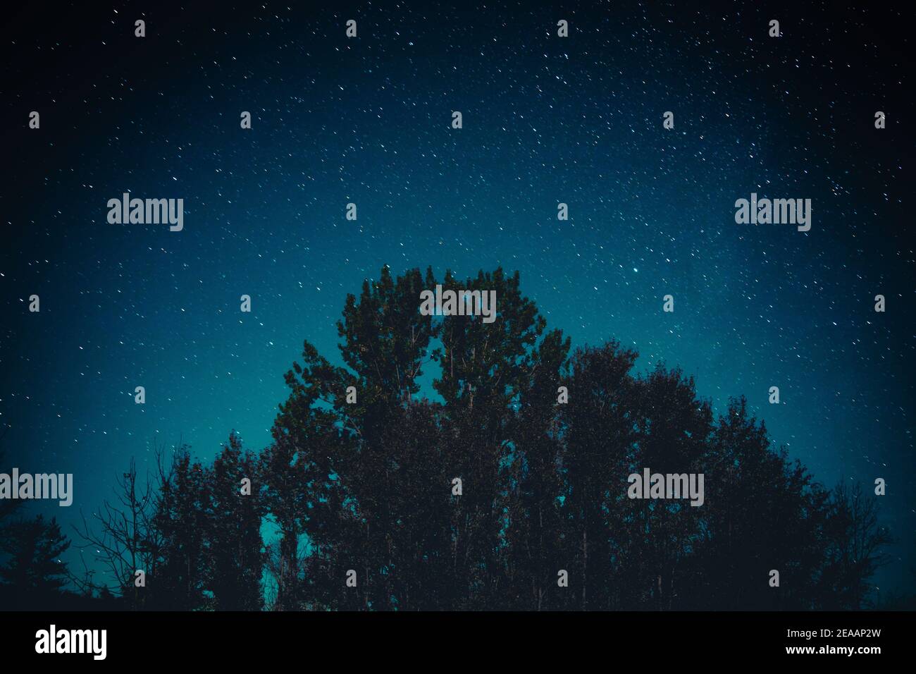 Iso 1000 hi-res stock photography and images - Alamy