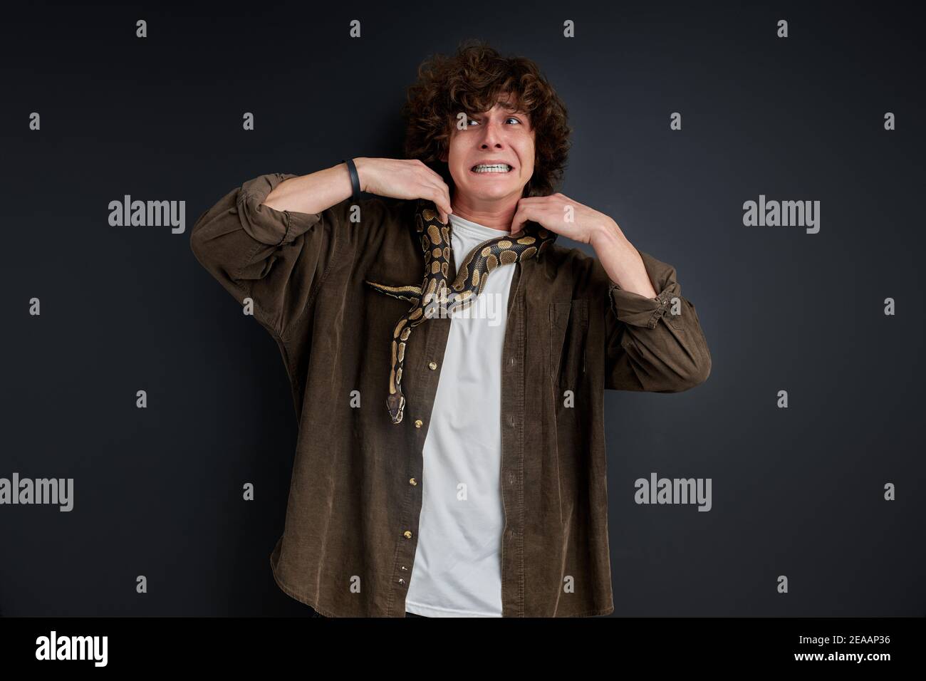 Man shock snake hi-res stock photography and images - Alamy