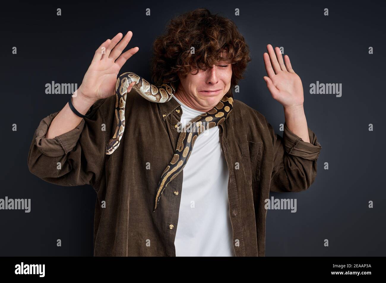 man cannot move when a snake wraps around his neck and shoulders, stand ...