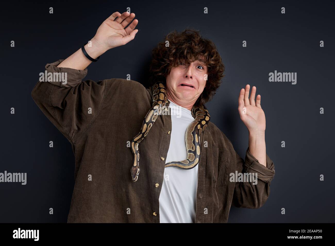 man has a panic attack having snake on his shoulders, confused guy ...