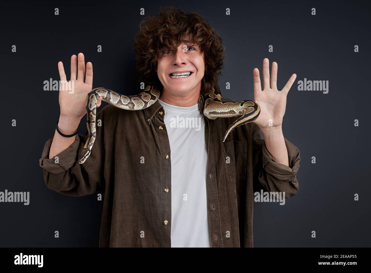 Scared person snake hi-res stock photography and images - Alamy