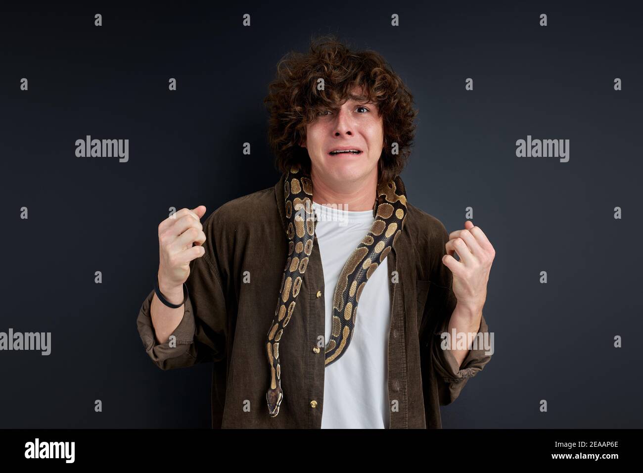 man trying to keep calm while exotic snake is crawling on him, isolated ...