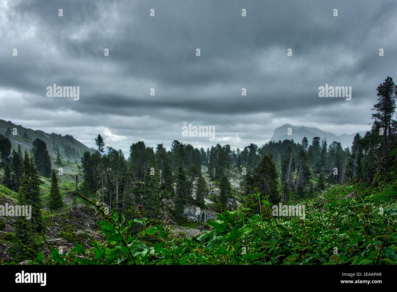 Karst plateau hi-res stock photography and images - Alamy
