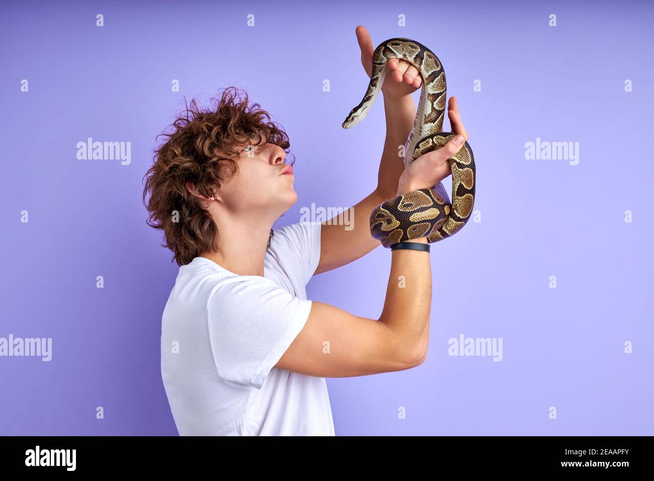man training a snake and entertains, young caucasian guy playing with ...