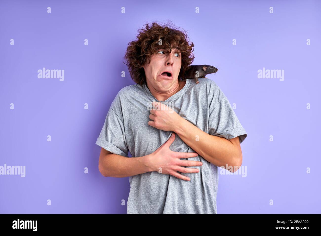 Human ear mouse hi-res stock photography and images - Alamy