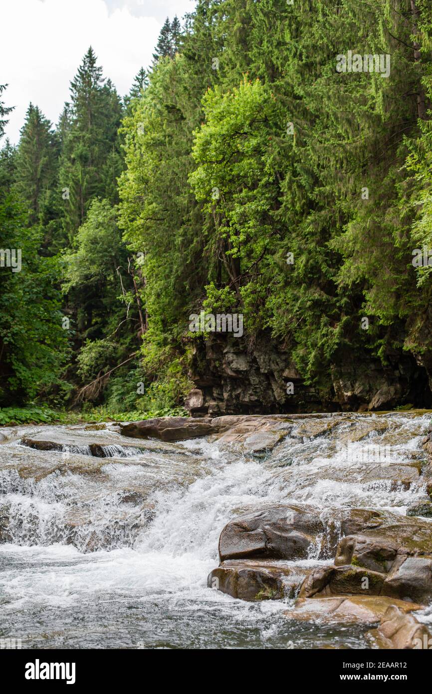 A tiny river in the mountain forest with low water waterfall. Brite ...