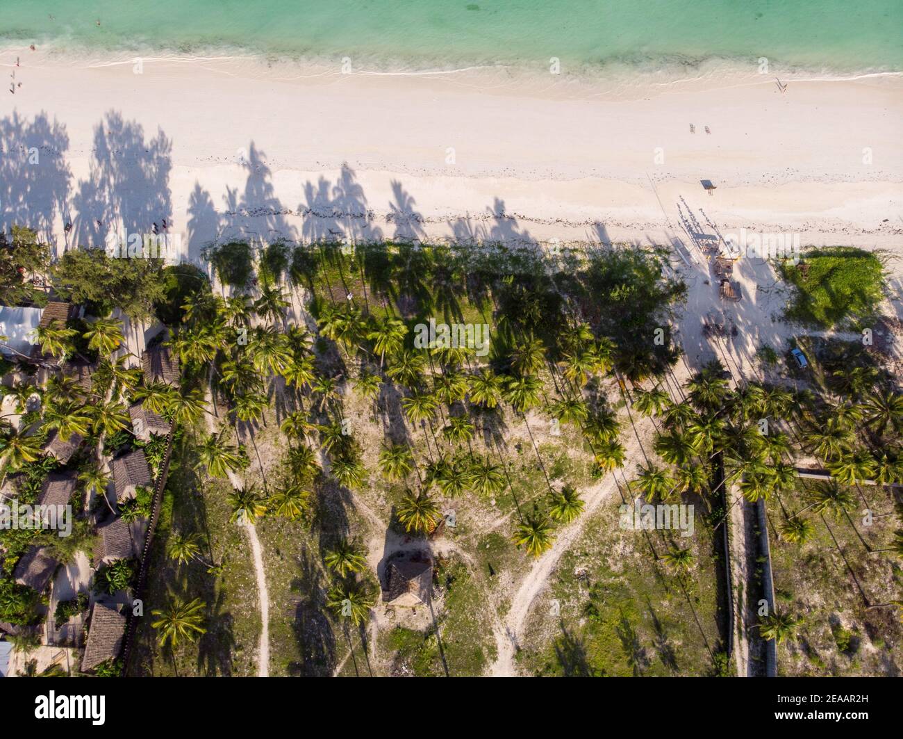 Aerial Top View on Paje Beach With Palm Trees Shadows at Evening Time ...