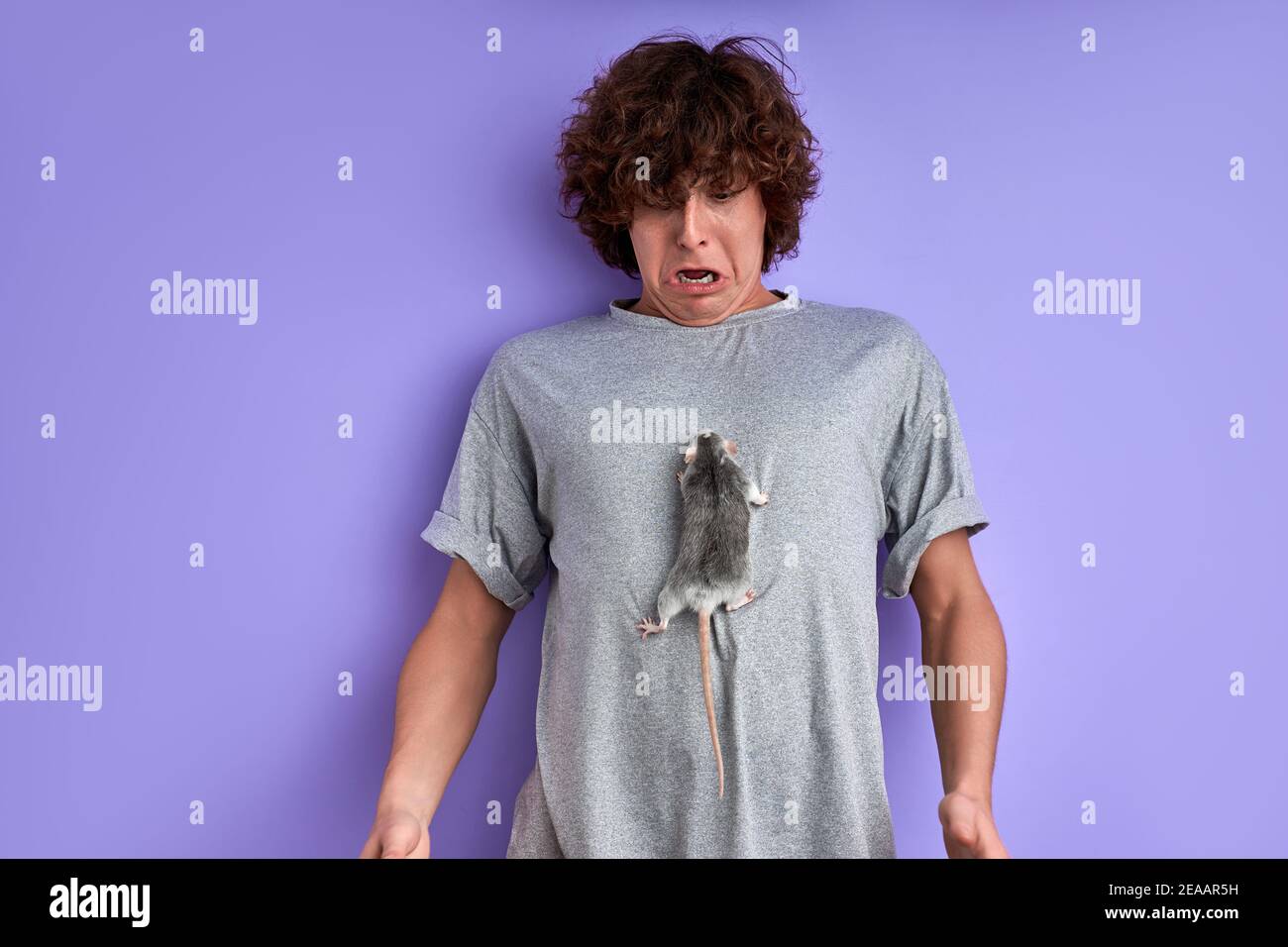 Rat shock hi-res stock photography and images - Alamy