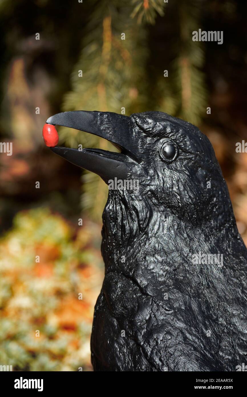 Raven art hi-res stock photography and images - Alamy