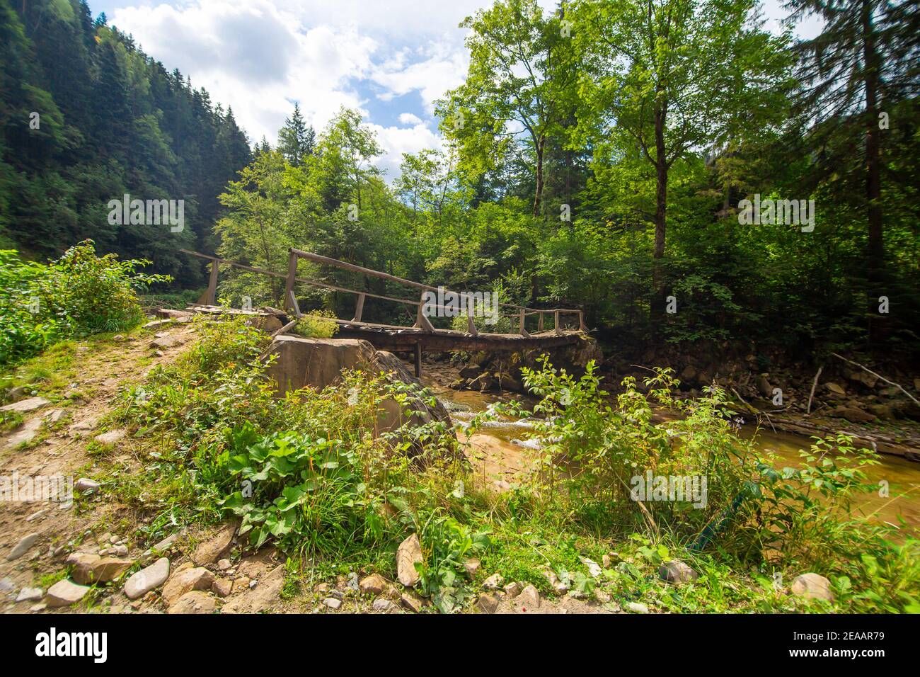 The old wooden weak bridge over small river in mountain forest Stock ...