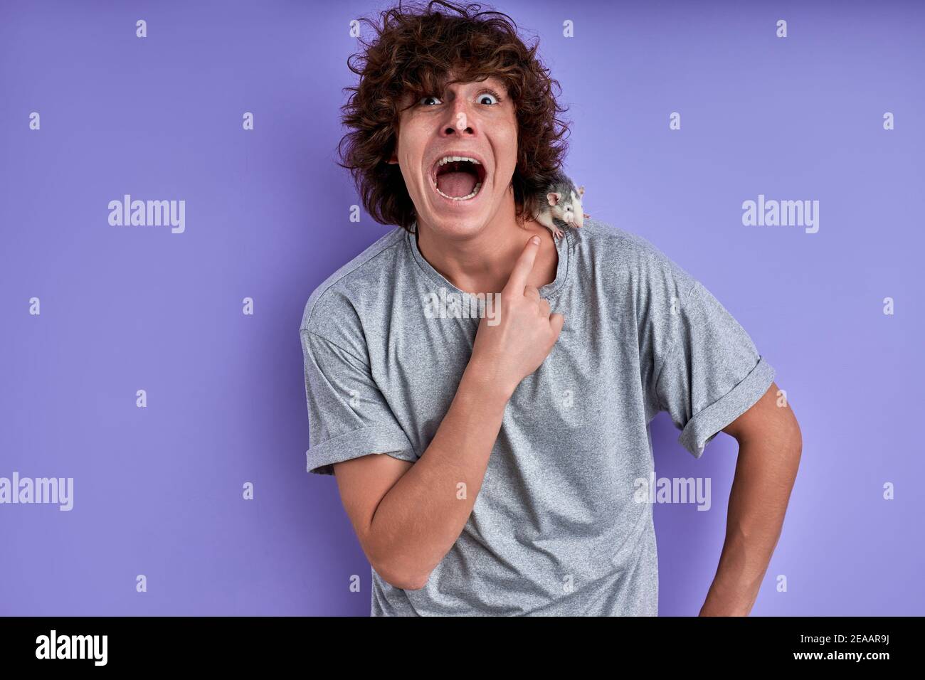 unusual rat on man's body, caucasian young guy pointing finger at rat ...