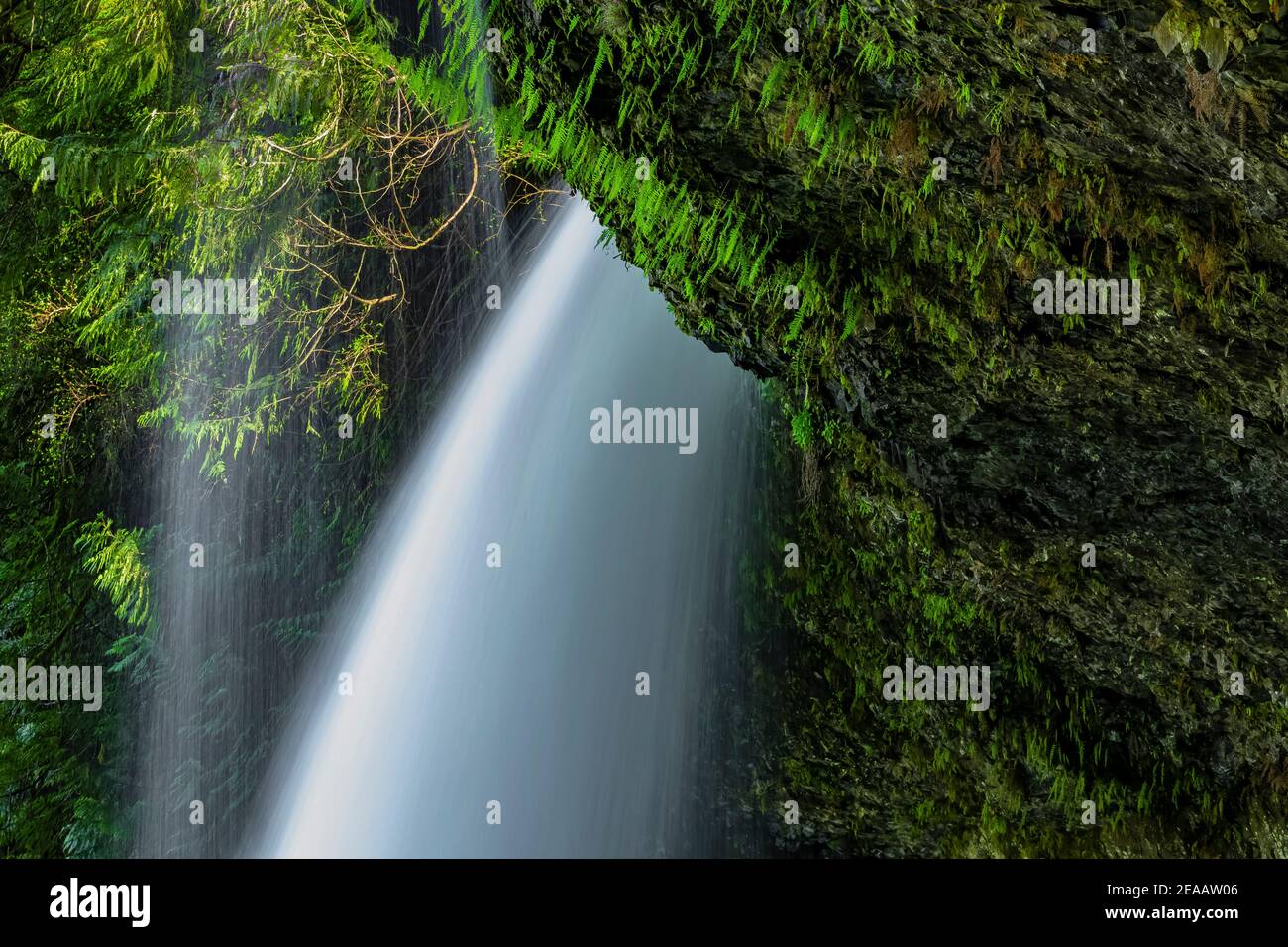 South Falls plunging over a cliff in Silver Falls State Park, Oregon ...