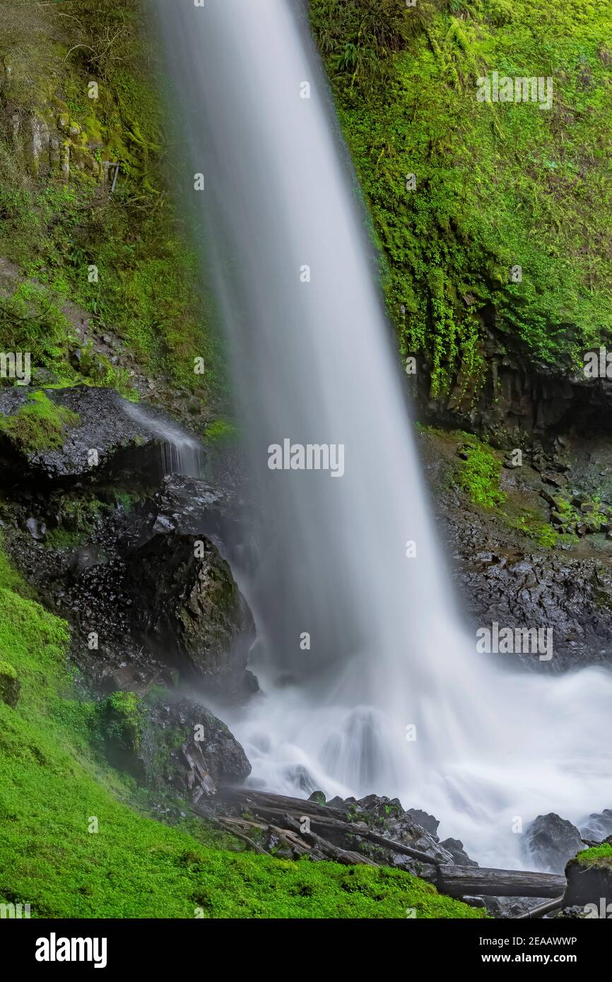 South Falls plunging over a cliff in Silver Falls State Park, Oregon ...