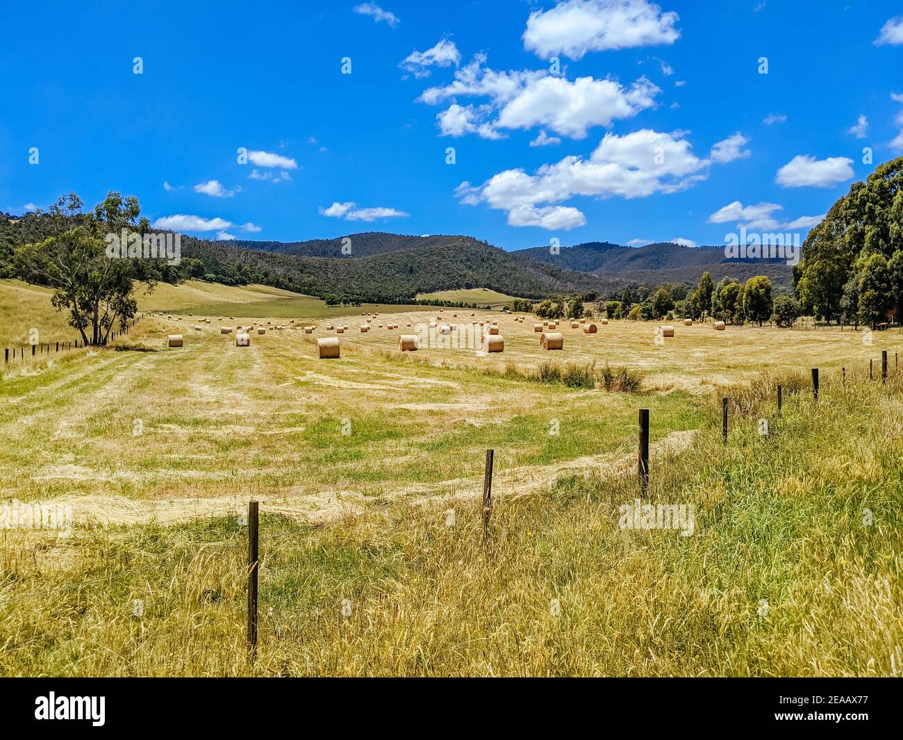 Victorian countryside australia hi-res stock photography and images - Alamy
