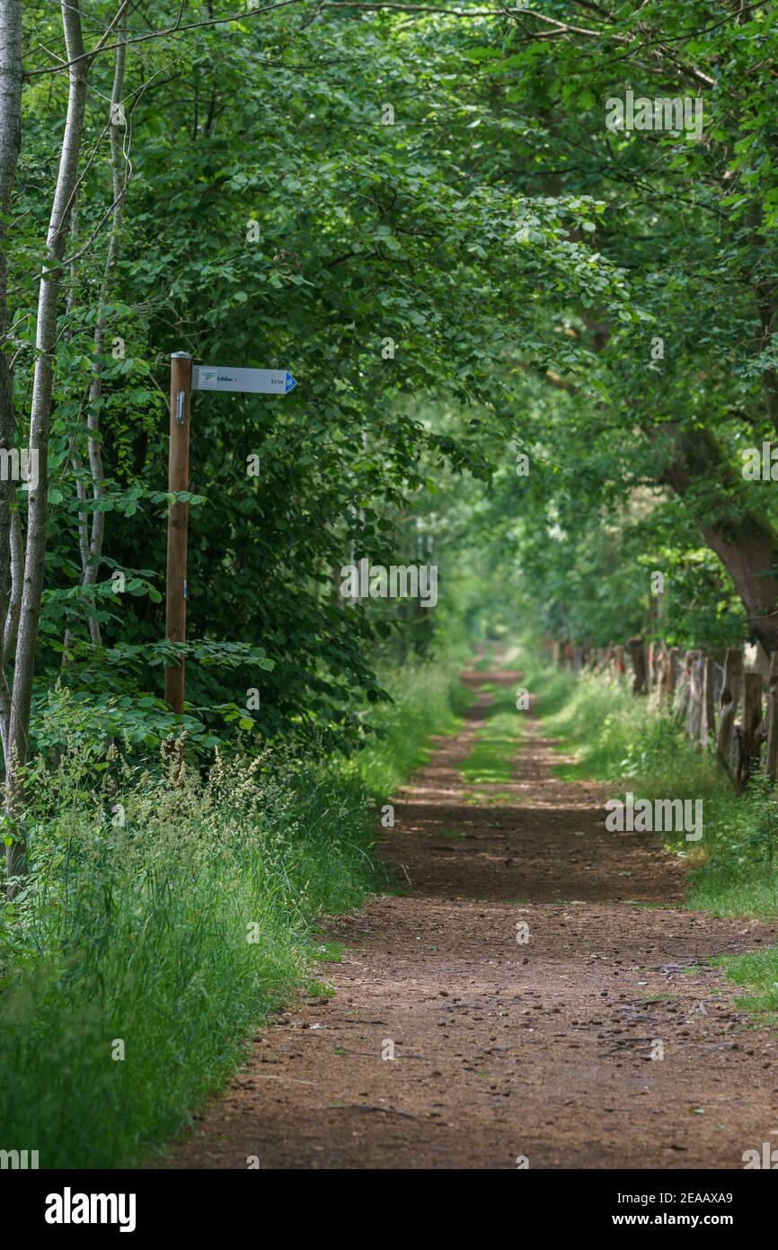 hiking sign attached to a pole besides a green rural path way ...