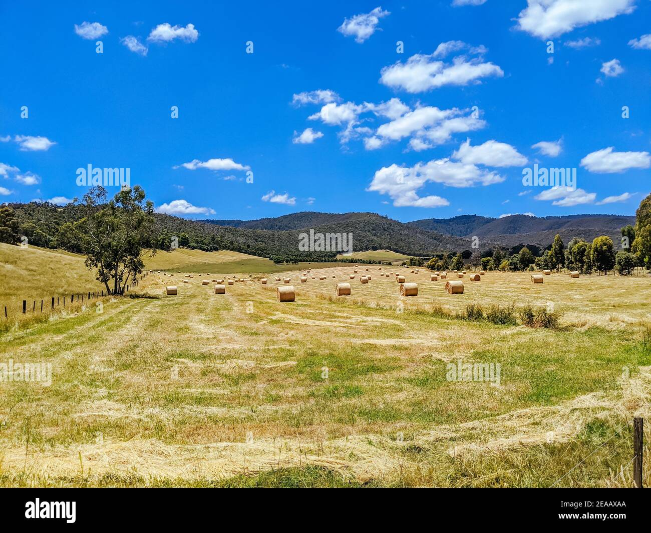Victorian rural country in hi-res stock photography and images - Alamy