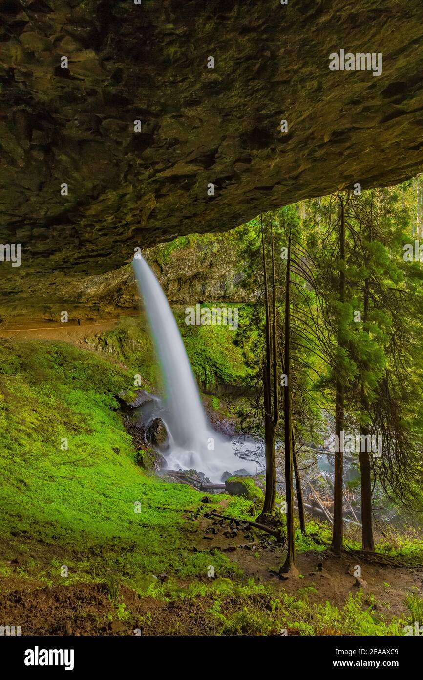 Tall waterfall behind lush hi-res stock photography and images - Alamy