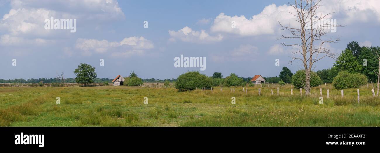 Panorama of moor landscape with two grey wooden huts on meadow and ...