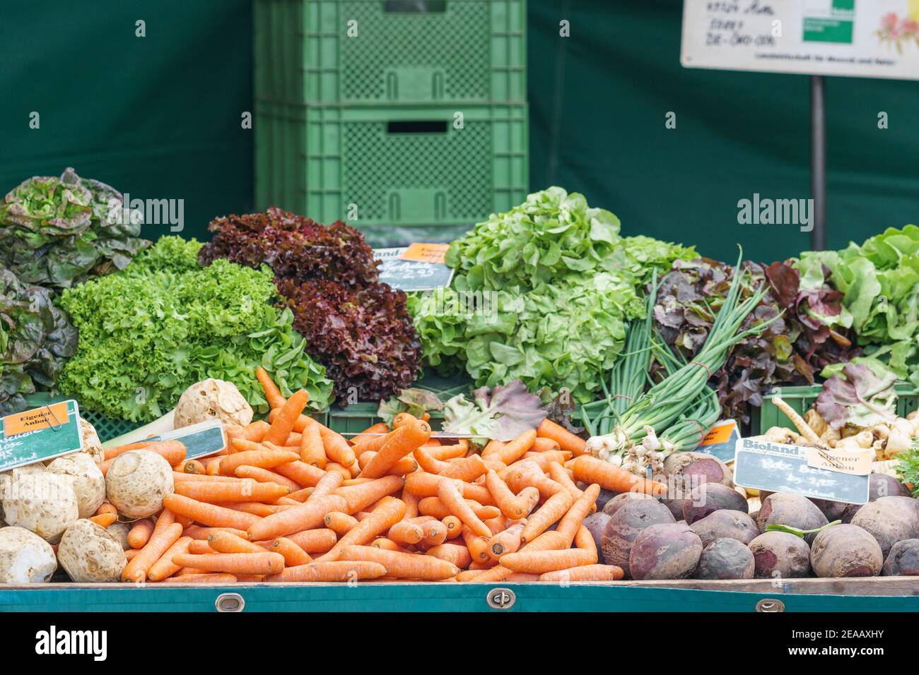 Carrot, lettuce, beetroot, spring onion and celery at market stall ...