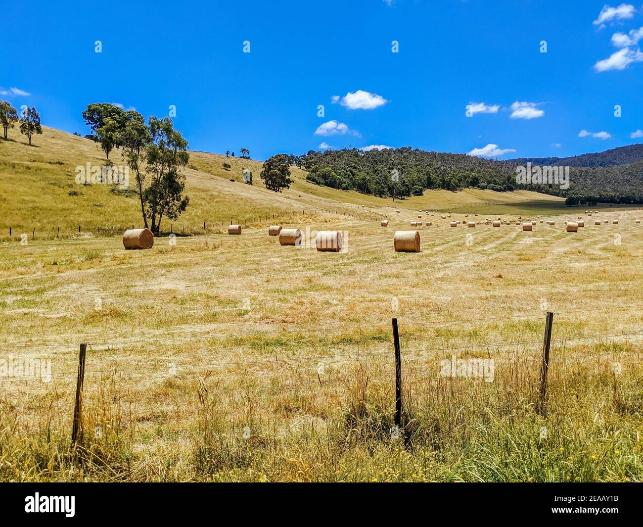 Victorian countryside australia hi-res stock photography and images - Alamy