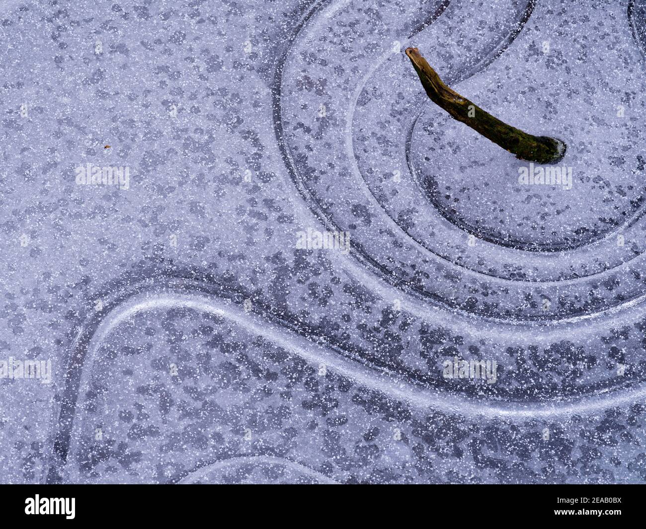 Ice branch hi-res stock photography and images - Alamy