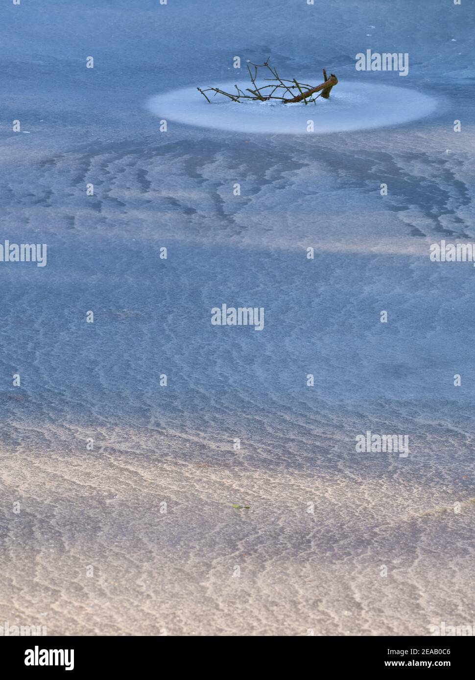 Ice branch hi-res stock photography and images - Alamy