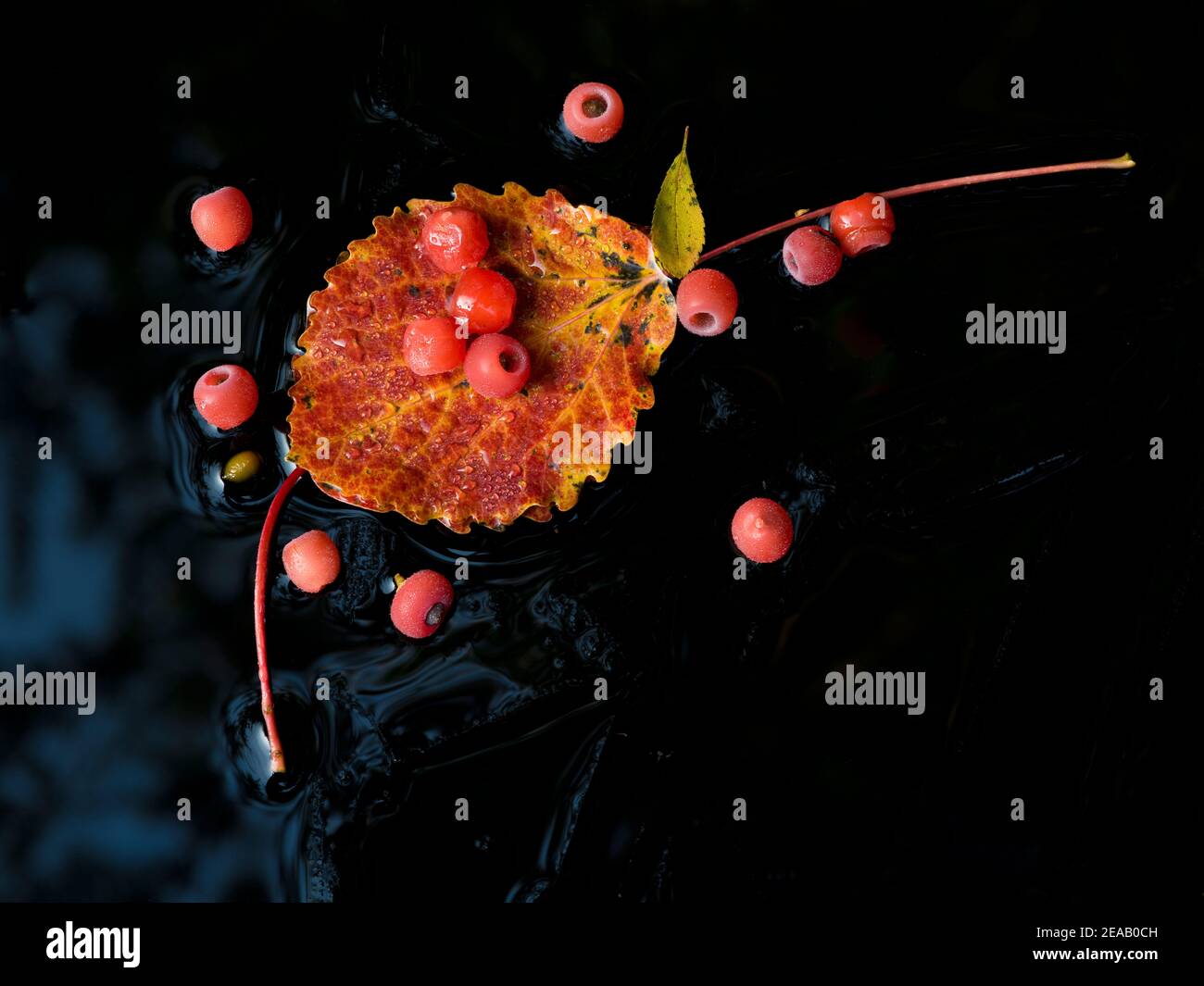 Floating berries hi-res stock photography and images - Alamy