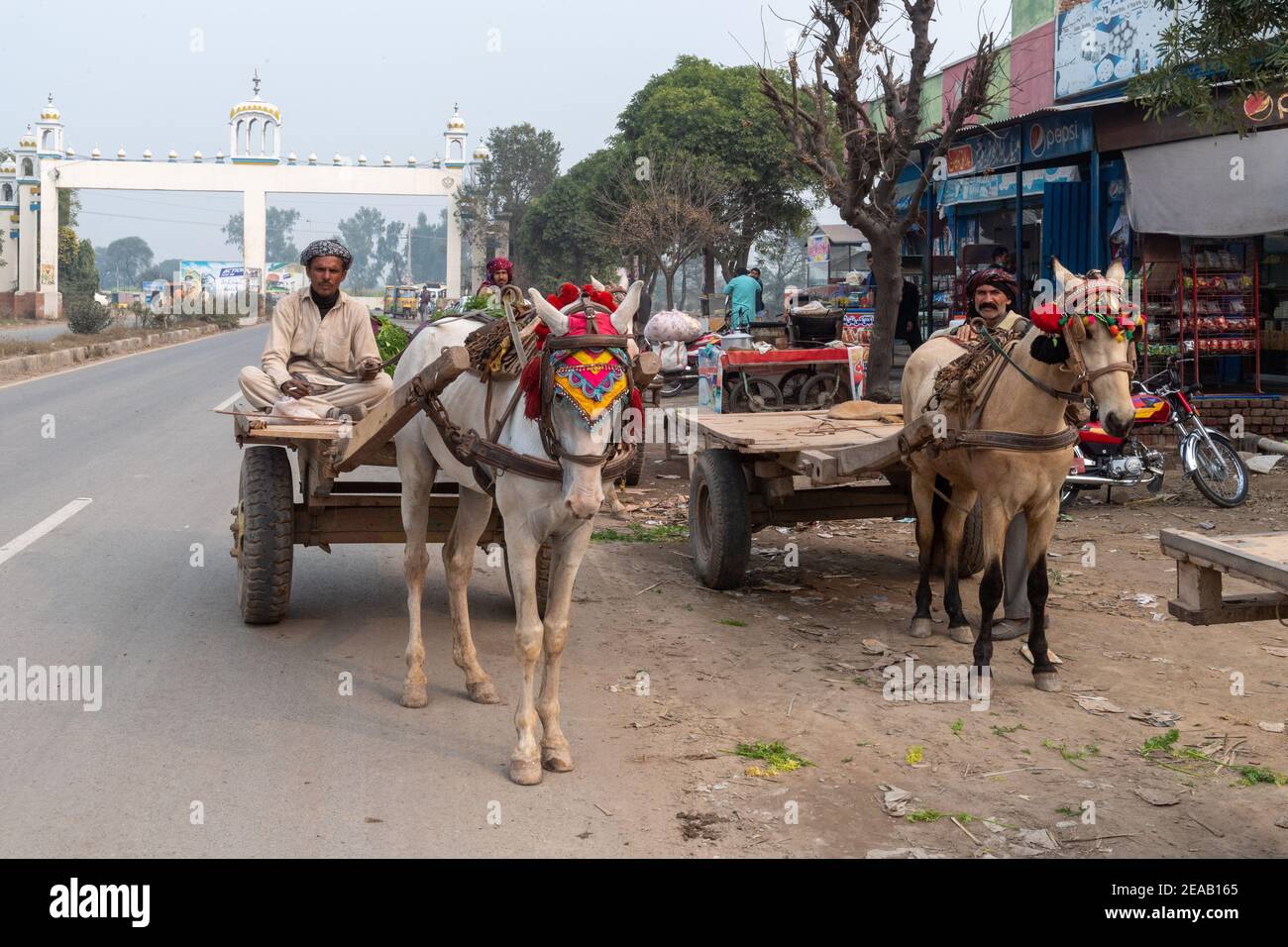 Punjab farm hi-res stock photography and images - Alamy
