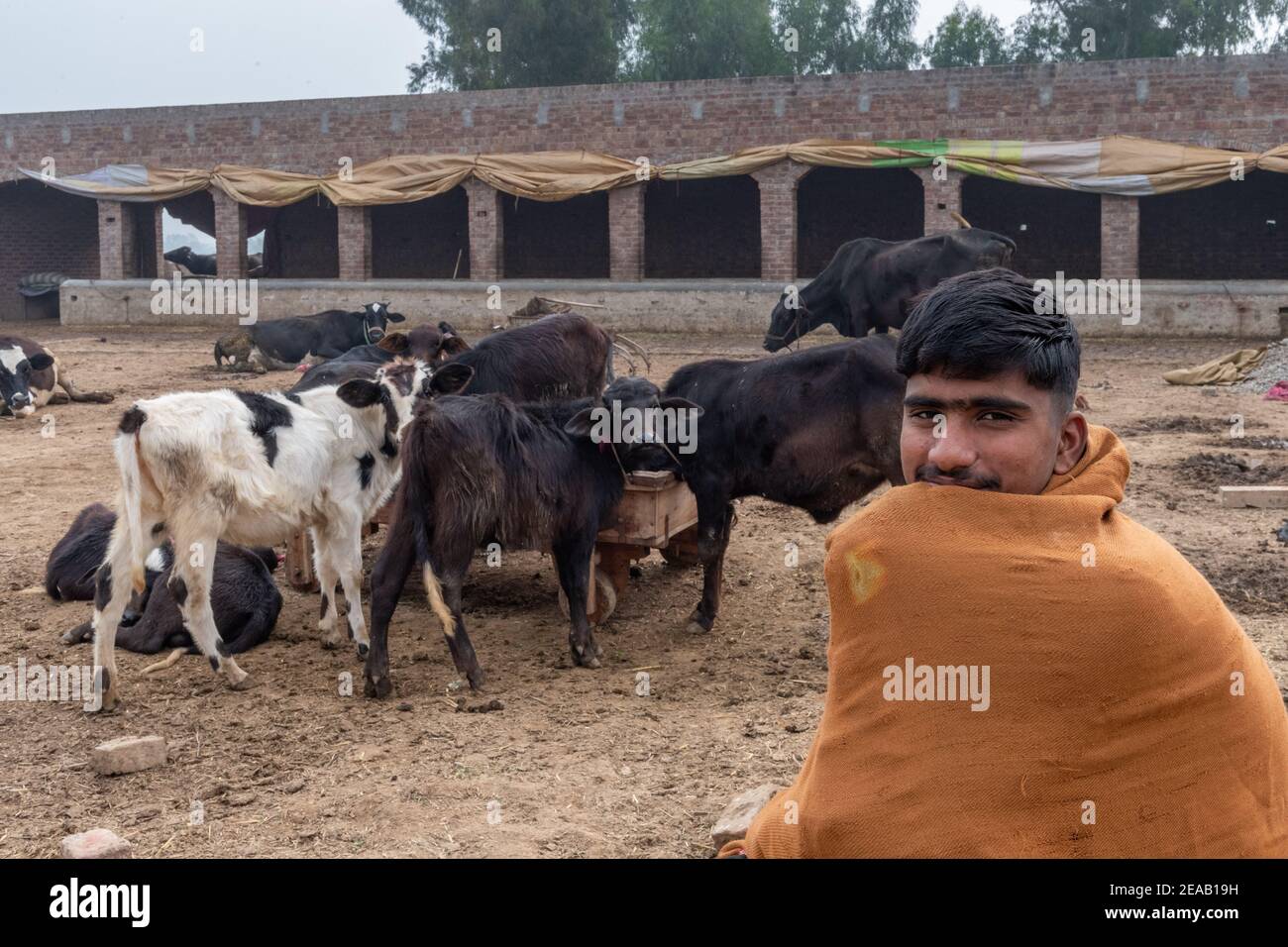 Pakistan farming hi-res stock photography and images - Alamy